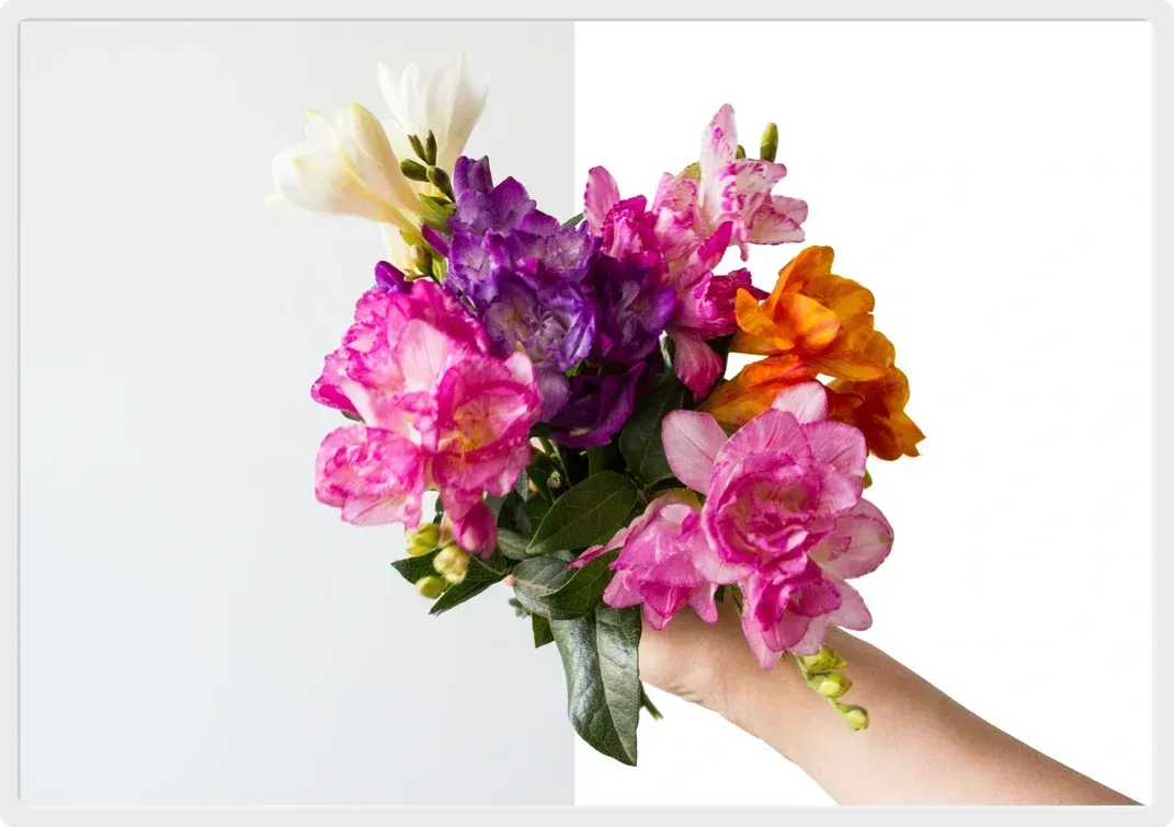 AI Background Remover Online | Automatic & Fast - BackgroundCut